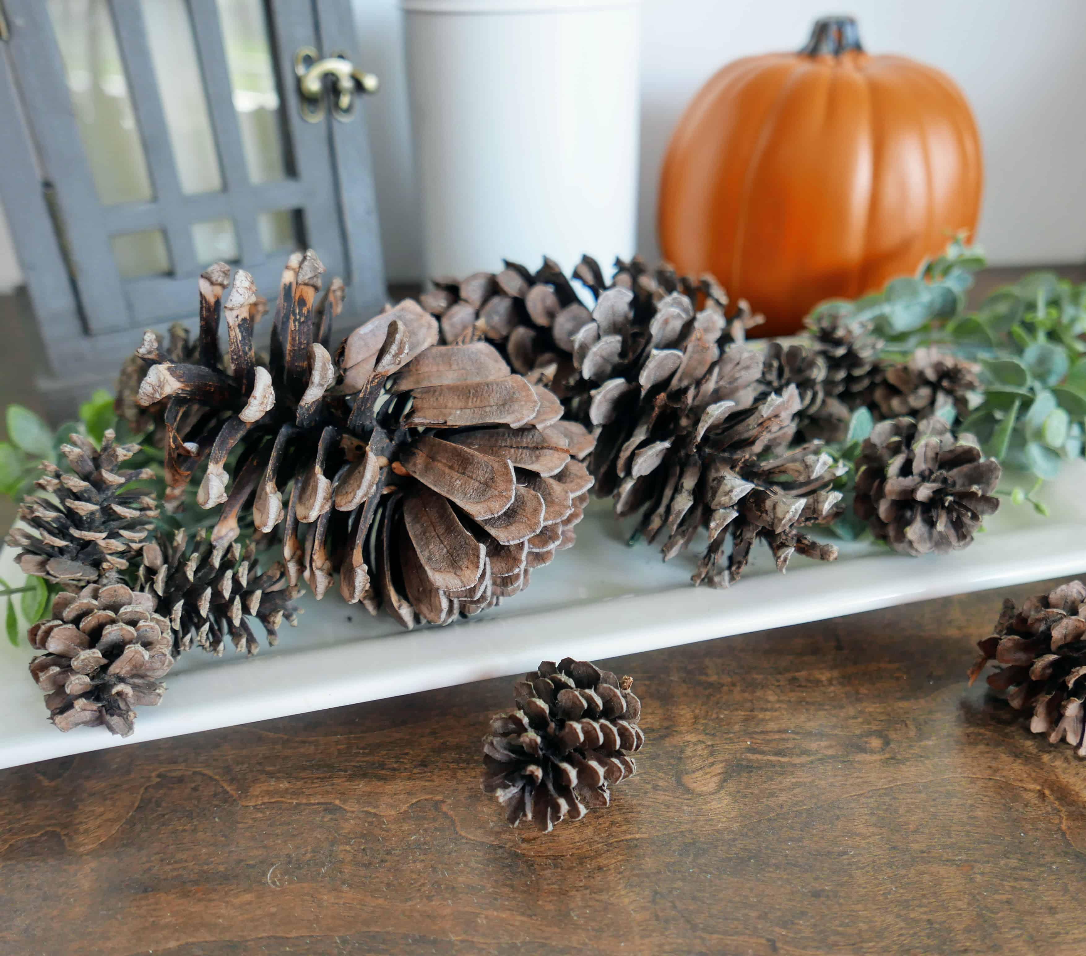 How To Make DIY Scented Pinecones (4 Easy Ways!) - Made In A Pinch