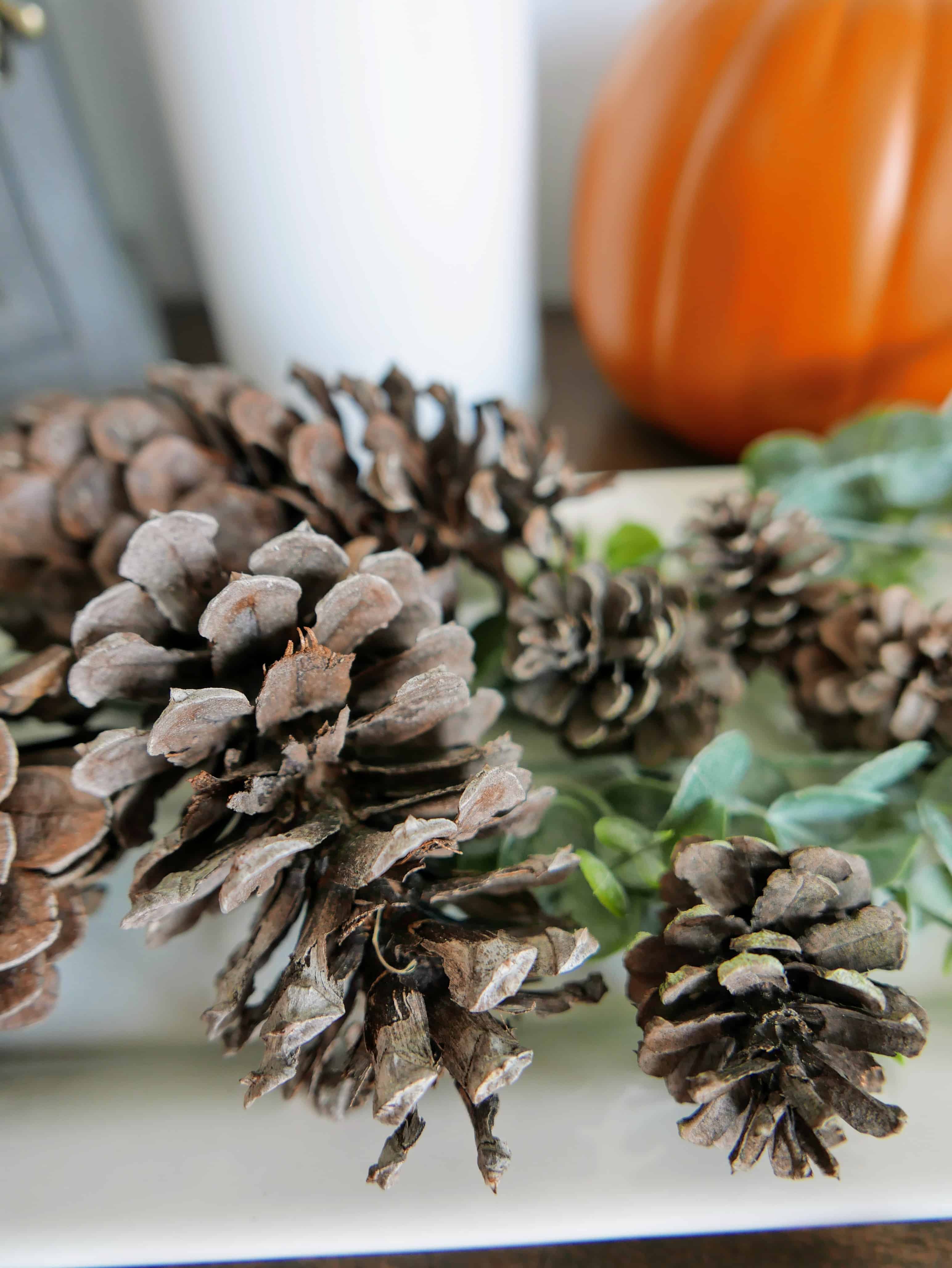 How To Make DIY Scented Pinecones (4 Easy Ways!) - Made In A Pinch