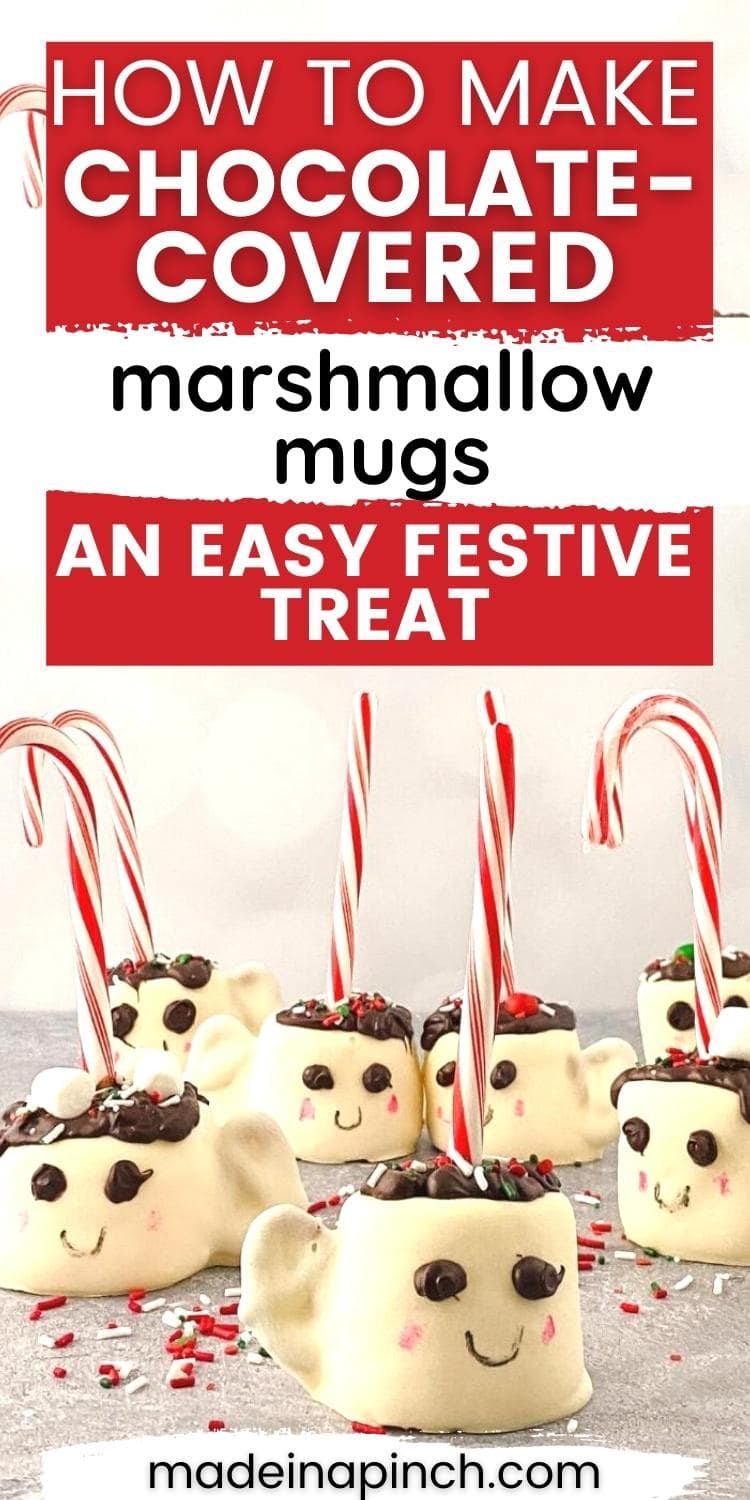 DIY Marshmallow Mugs: A Chocolate-Covered Treat - Made In A Pinch