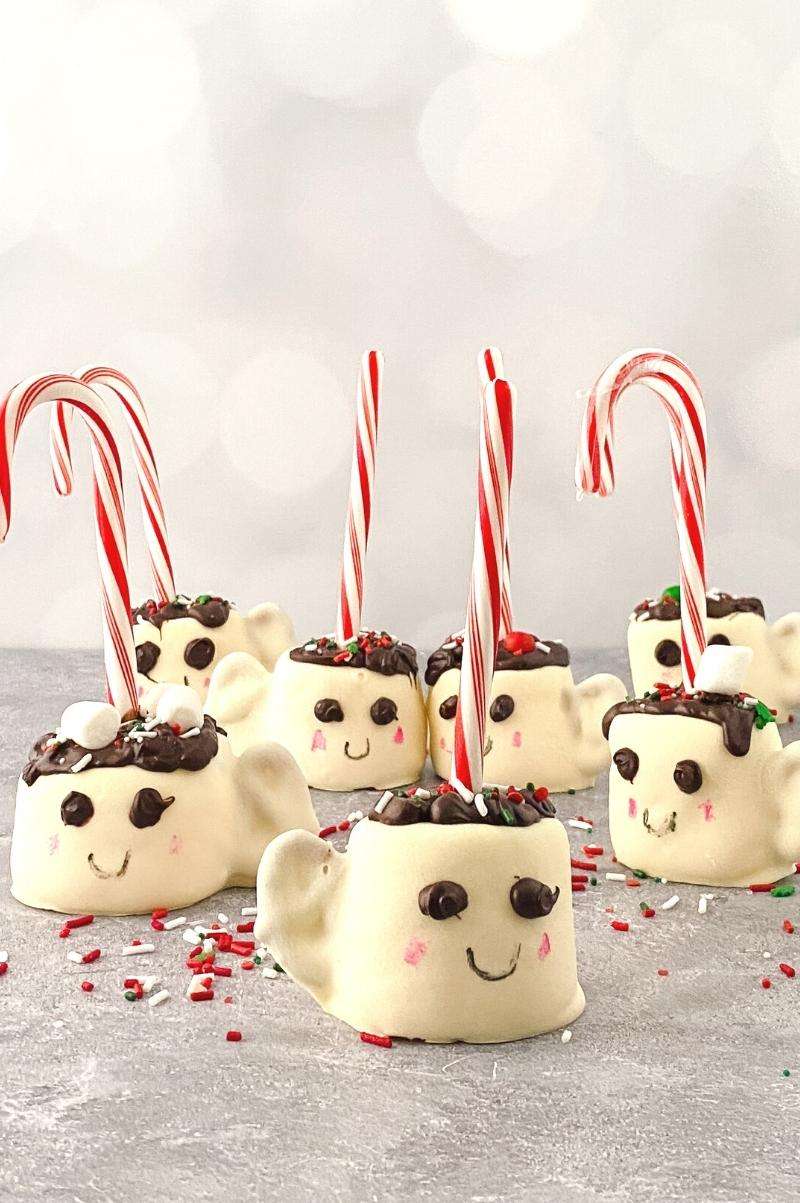 DIY Marshmallow Mugs: A Chocolate-Covered Treat - Made In A Pinch