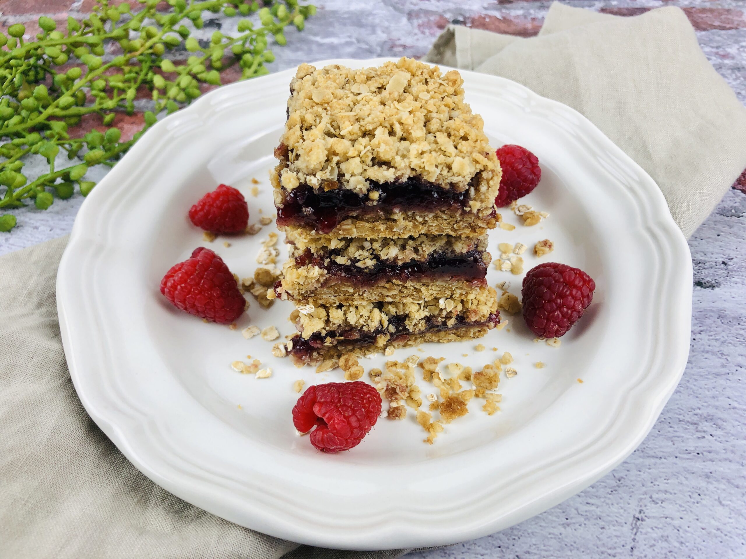 Raspberry Oatmeal Bars - Made In A Pinch