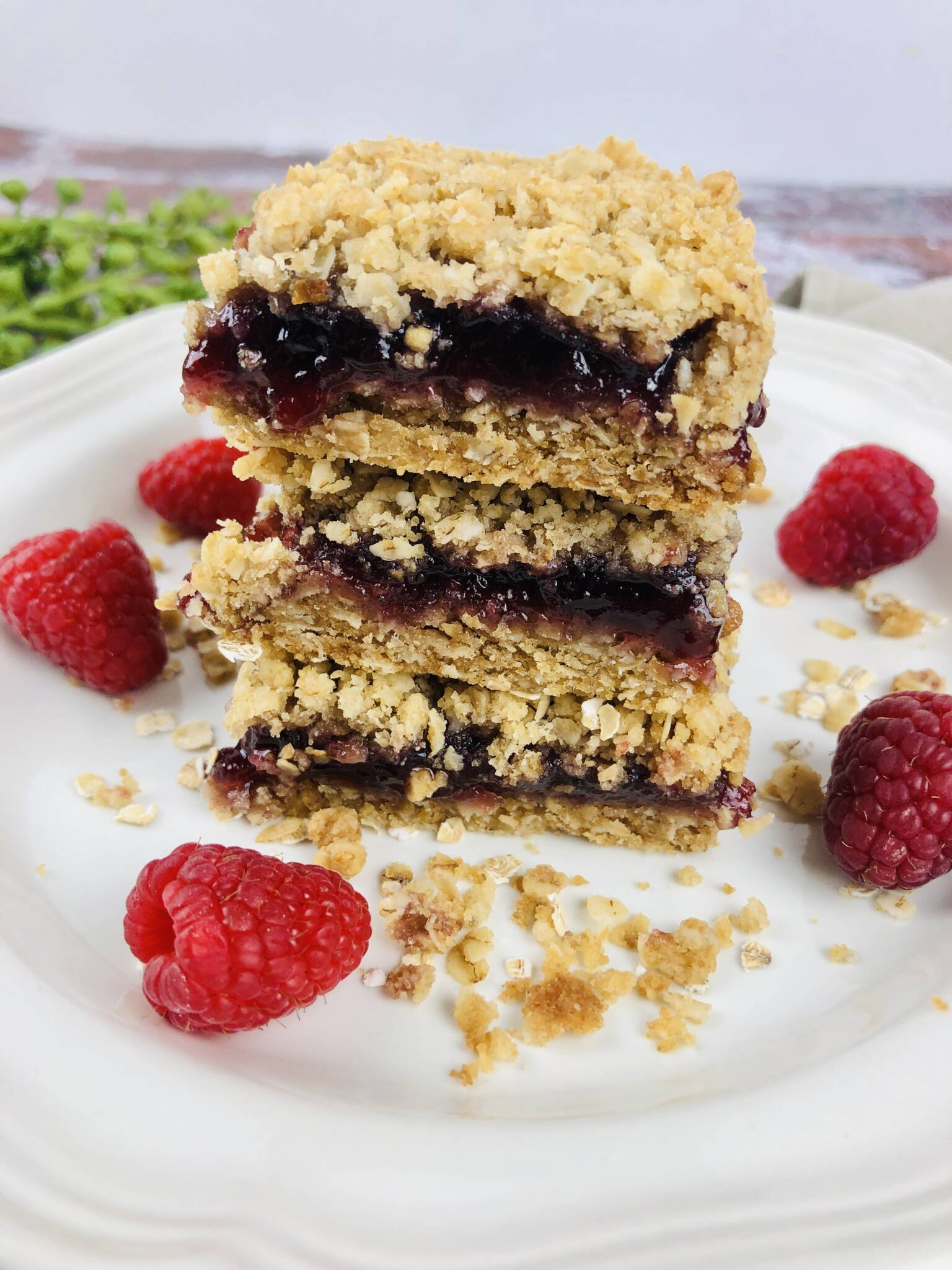 Raspberry Oatmeal Bars - Made In A Pinch