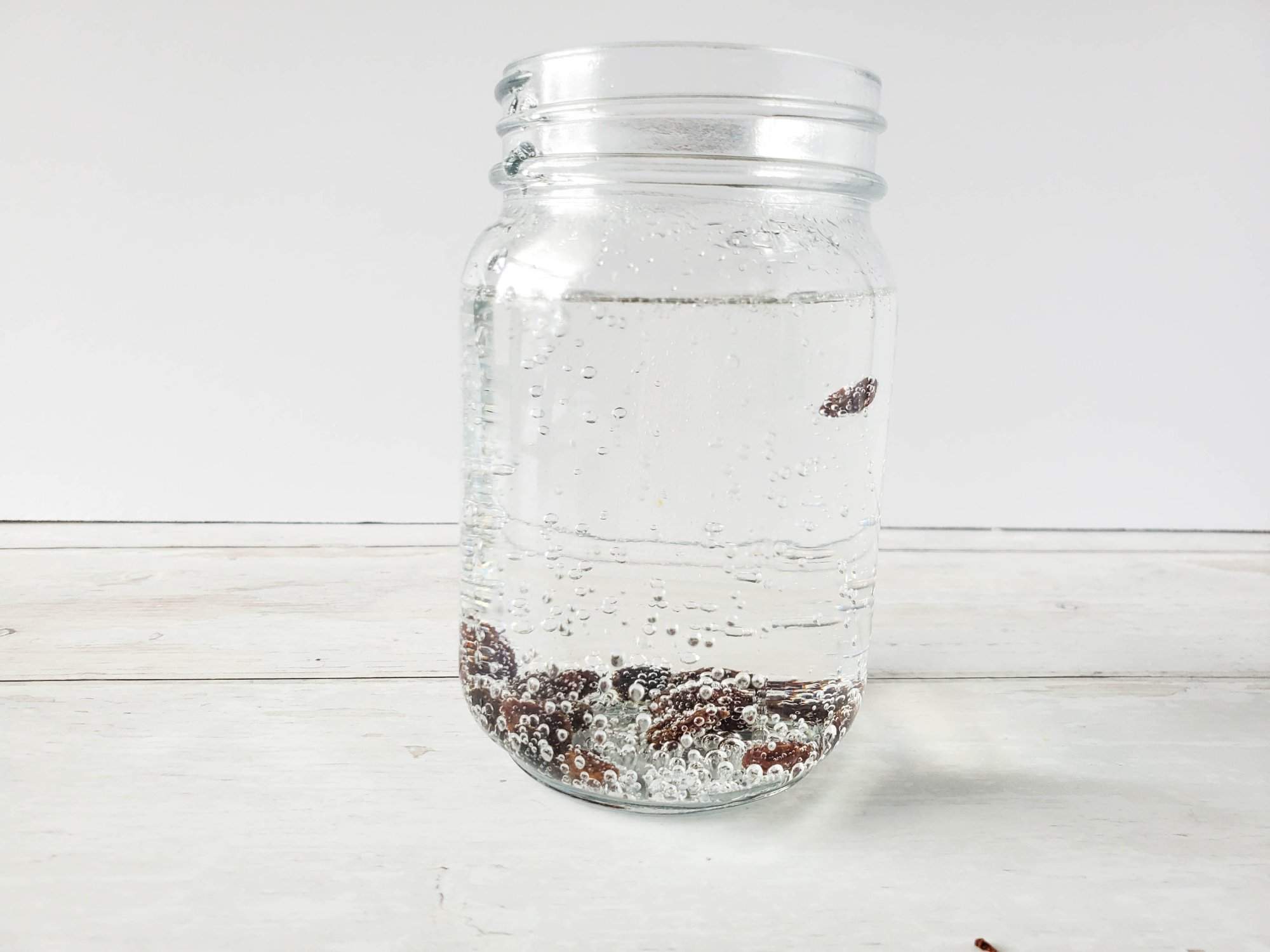 Dancing Raisins Experiment: Fun Science in Action! - Made In A Pinch